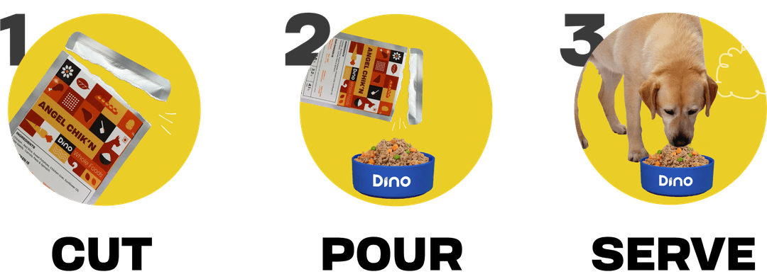 Clean Bowls Every Time | Dino Fresh Dog Food Bangalore