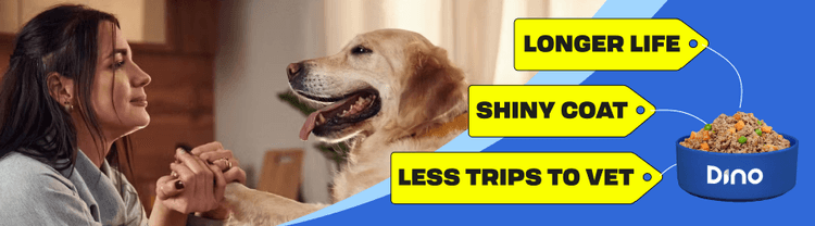 Shop - Dino Fresh Dog Food Online | Ready to Eat Healthy Dog Food